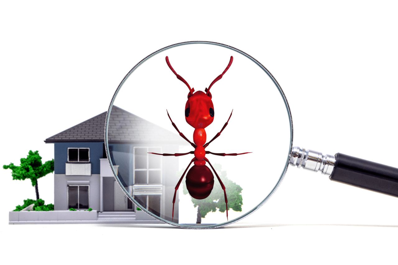 Westwood Pest Control - Full Service, Licensed and Insured Pest Control